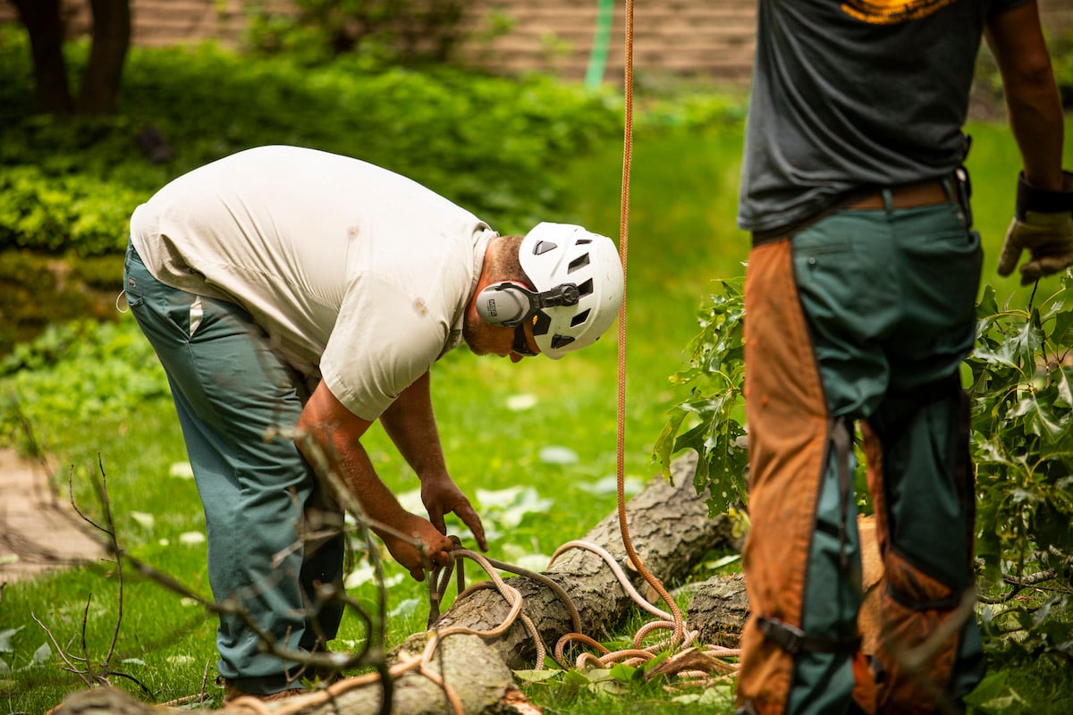 How to Run Safe Job Sites at Your Tree Service Franchise