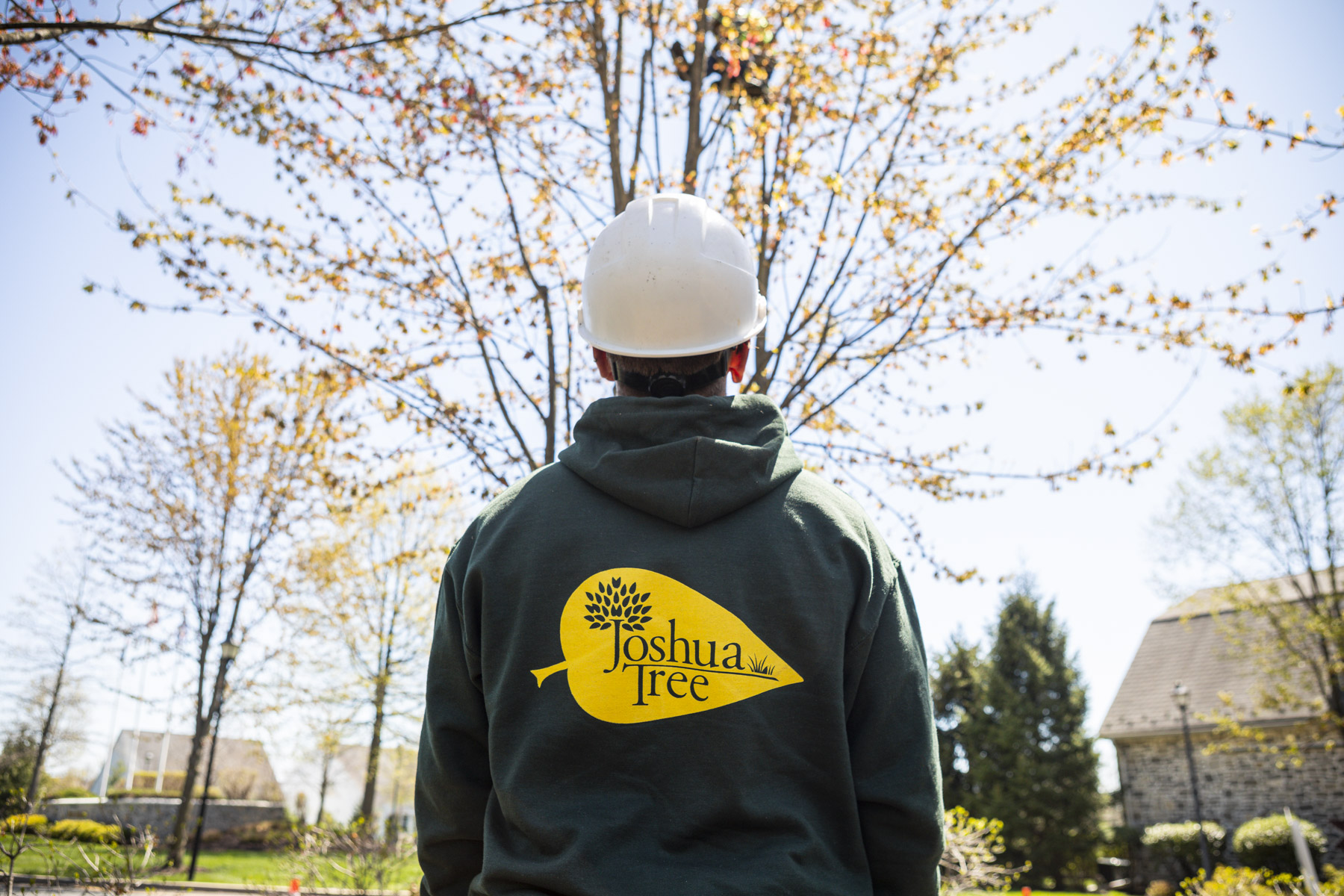 How to Create a Culture of Safety at Your Tree Care Franchise
