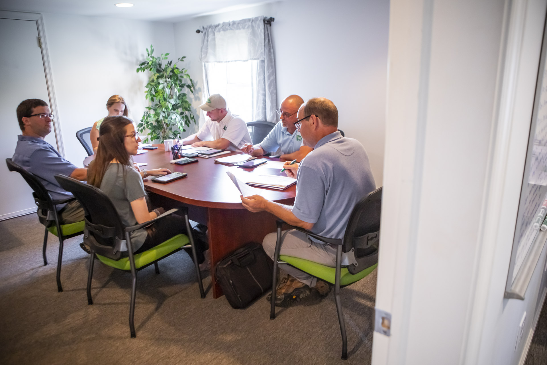 Our 6 Best Tips for Tree Service Postcards & Mailers