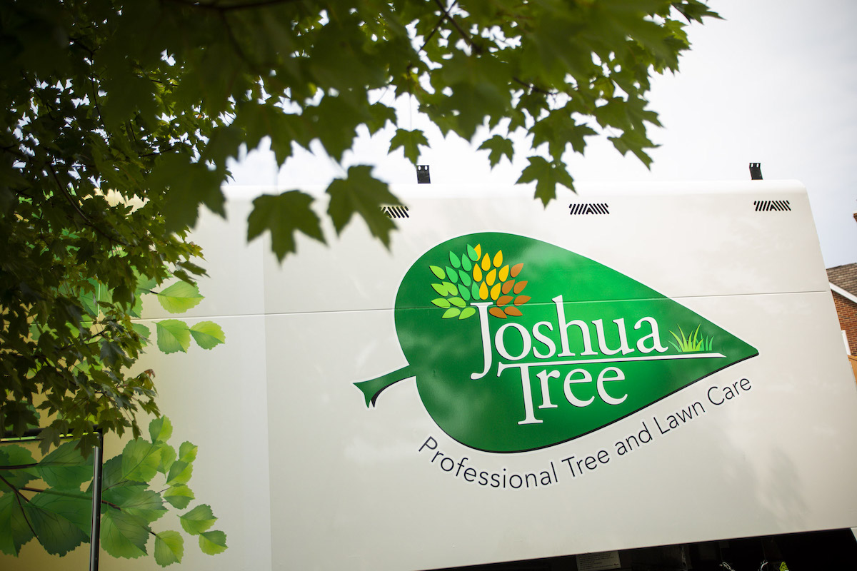 6 Important Equipment Needs at Your Tree Care Franchise