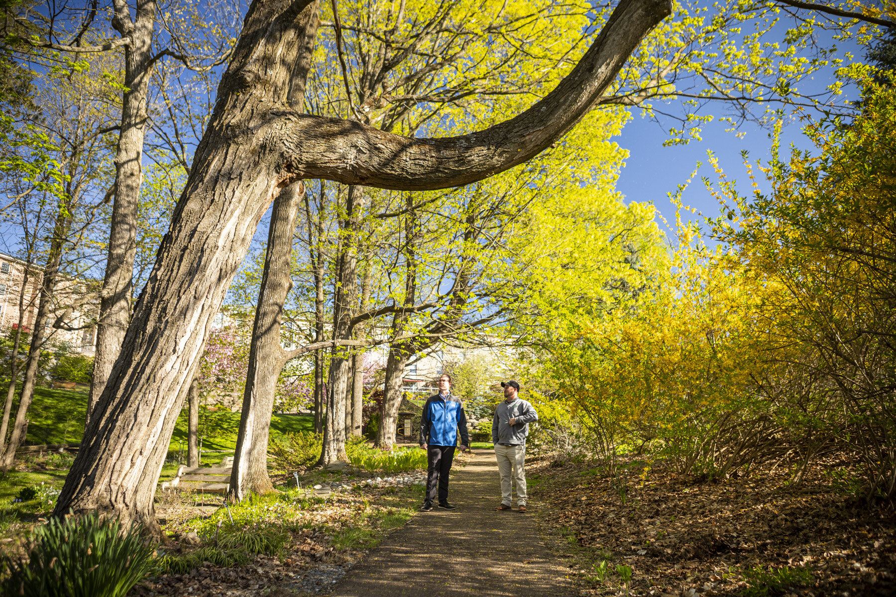 4 Reasons Owner-Operator Franchise Ownership Is Right for You