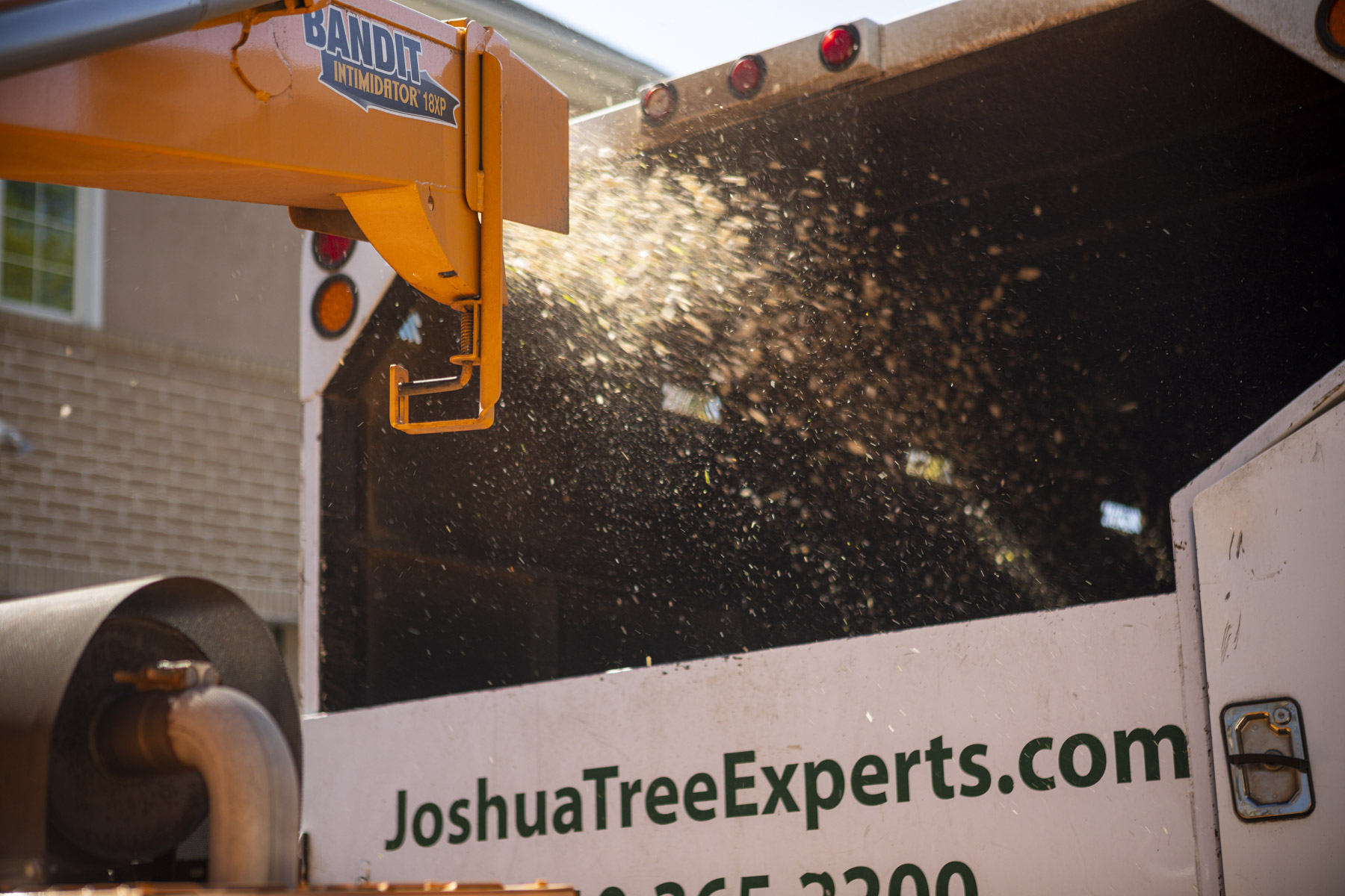 Joshua Tree Experts: Attractive Franchise Opportunities for Veterans
