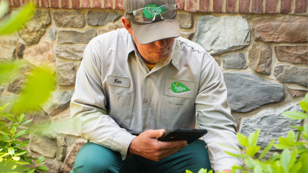 Joshua Tree Experts in the News: Expert Advice on Pruning Barberry Shrubs